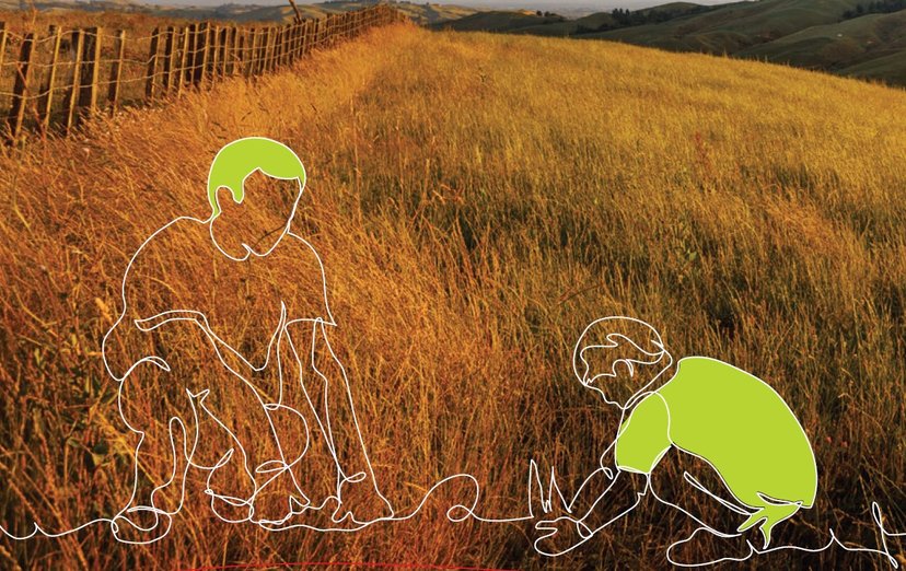 BRANZ Annual Review 2024 | BRANZ